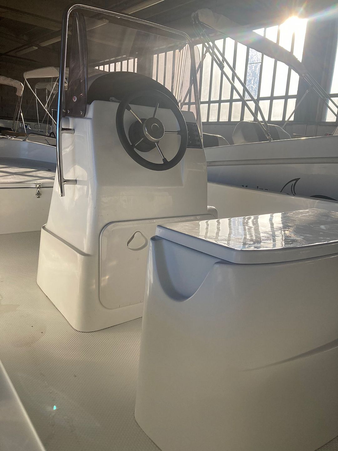 Alegra Corallo 19 - 2023