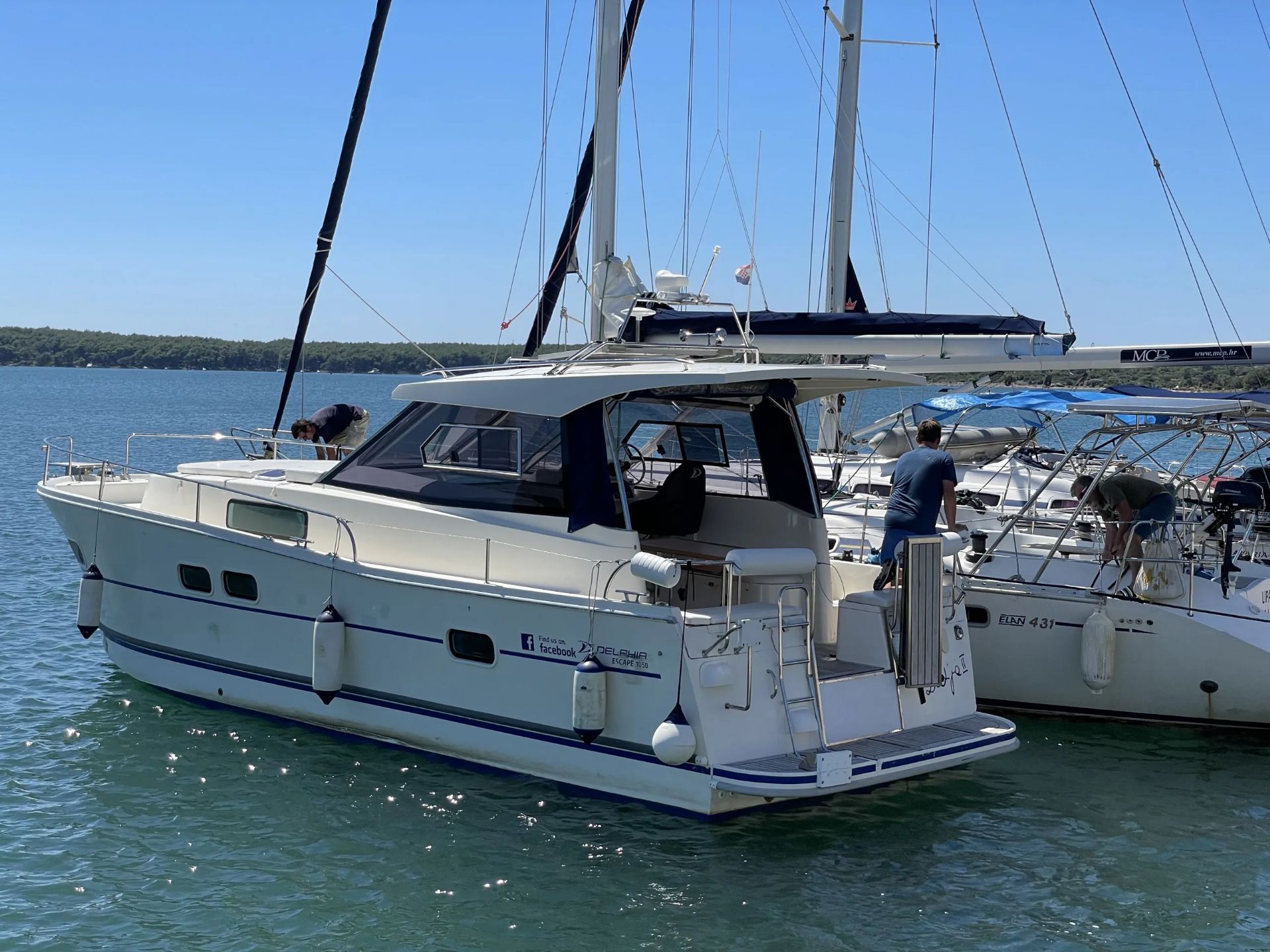 Delphia ESCAPE - 2014