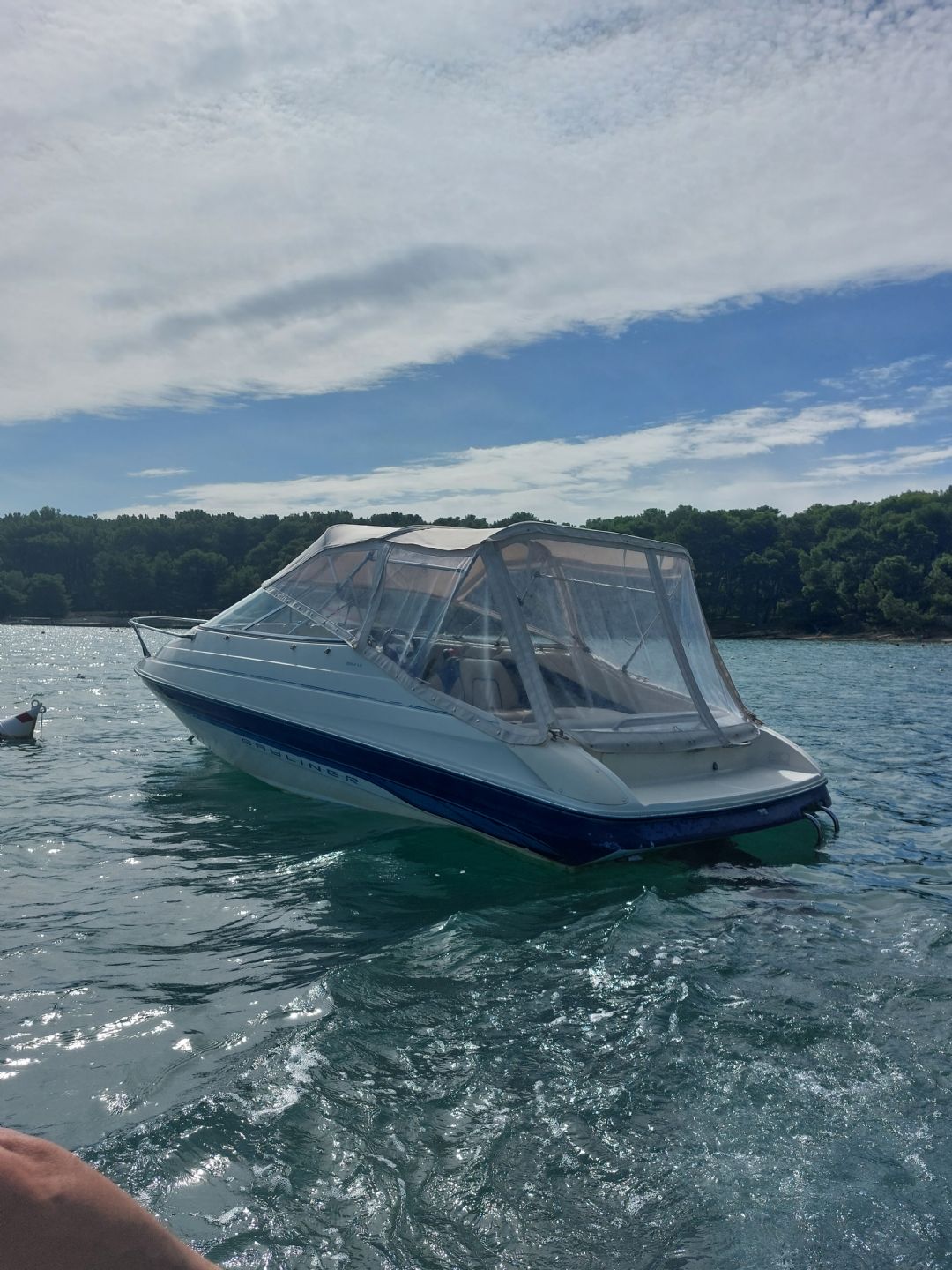 Bayliner boats for sale