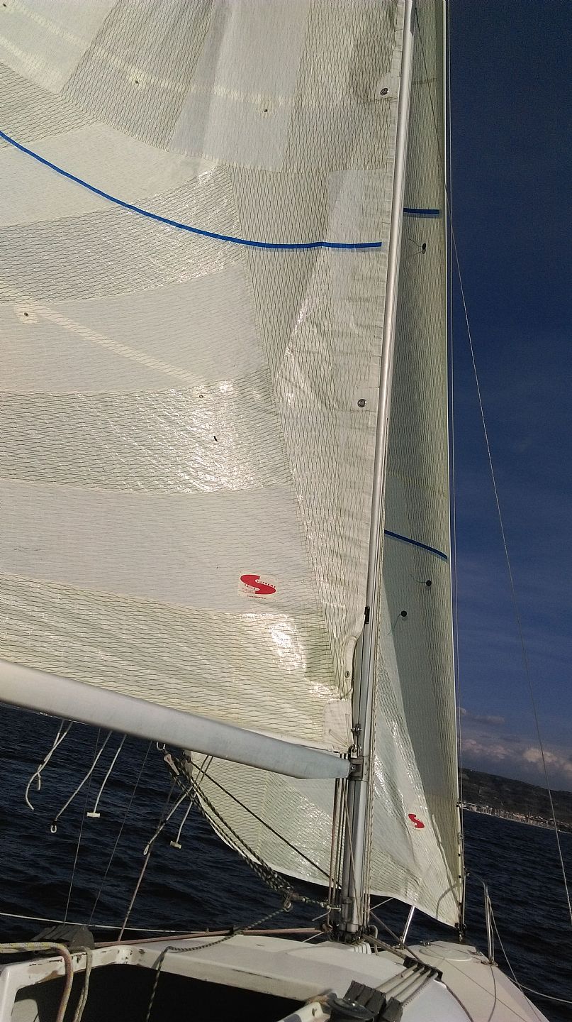 PAM PLUS Murphy 26 - 2005